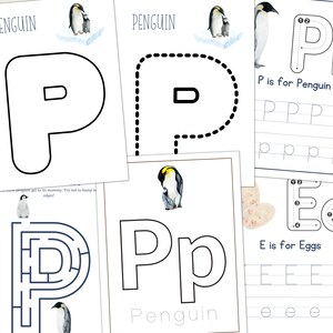 PENGUINS Unit Study, Life Cycle, Anatomy, Nature Study, Science ...