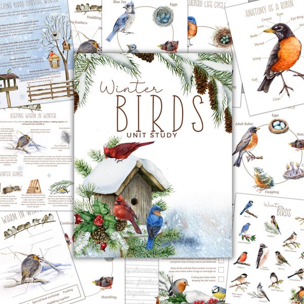 Winter Birds - Etsy