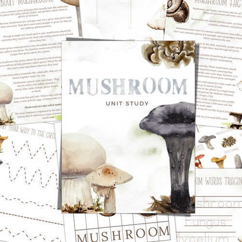 FOSSILS Unit Study Anatomy Nature Study Science - Etsy