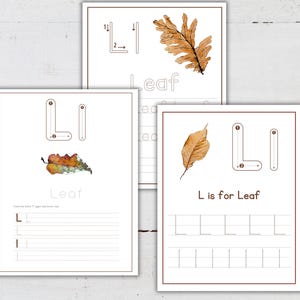 Letter L is for Leaf: Alphabet Learning Printable (instant Download) - Etsy
