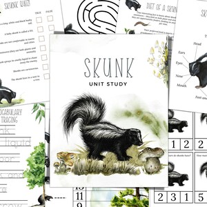 SKUNK Unit Study Life Cycle Anatomy Nature Study Science - Etsy