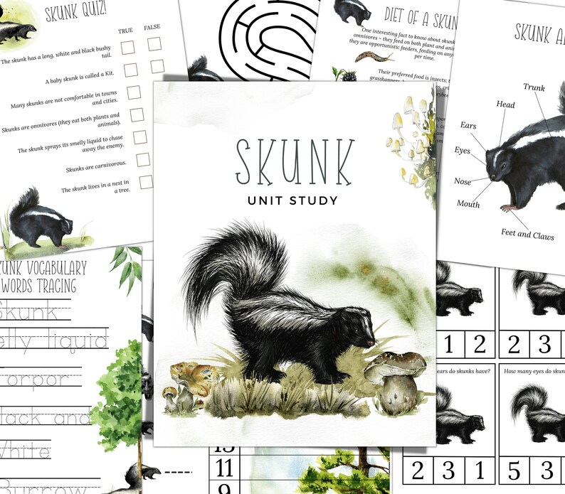 SKUNK Unit Study Life Cycle Anatomy Nature Study Science - Etsy