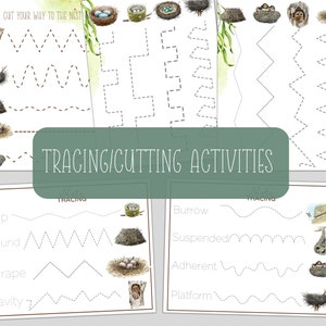 BIRD NESTS Unit Study, Nature Study, Science, Handwriting, Homeschool ...