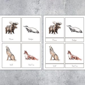 WINTER FOREST Animals Montessori 3 Part Cards. Preschool Vocabulary ...