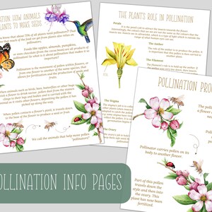 GARDEN INSECTS BUNDLE, Garden Pests Unit, Pollinators Unit, Earthworm ...