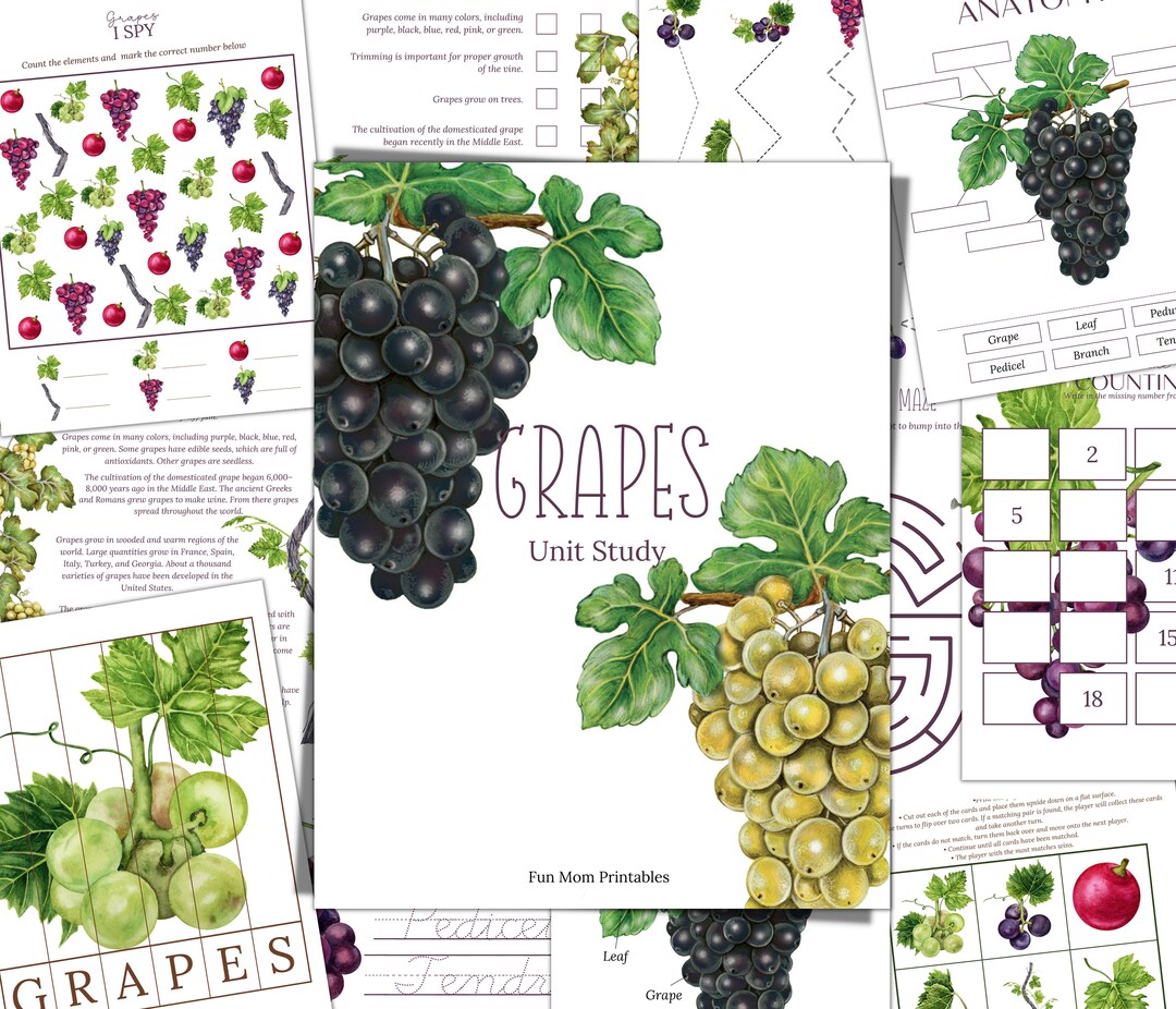 GRAPES Unit Study, Anatomy, Nature Study, Science, Handwriting ...