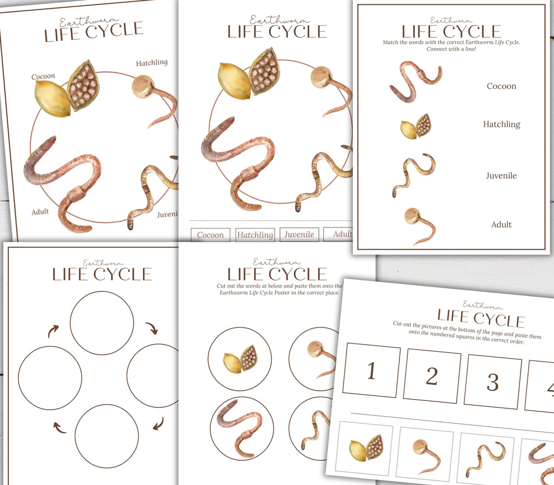 EARTHWORM Study Unit, Life Cycle, Anatomy, Nature Study, Science ...