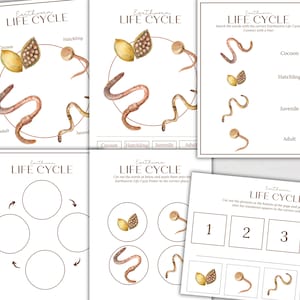 EARTHWORM Study Unit, Life Cycle, Anatomy, Nature Study, Science ...