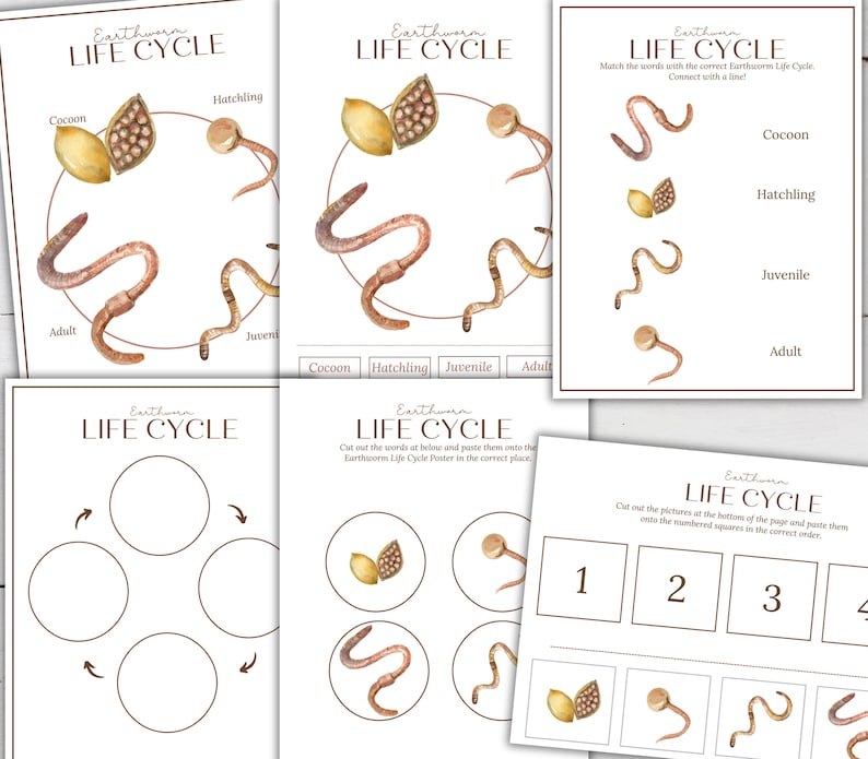 EARTHWORM Study Unit, Life Cycle, Anatomy, Nature Study, Science ...