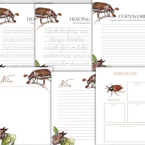 Cockchafer Unit Study: Life Cycle & Anatomy (homeschool Printable) - Etsy