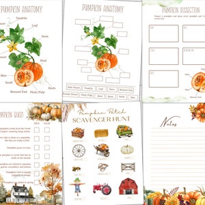 PUMPKIN Unit Study, Life Cycle, Anatomy, Nature Study, Science ...