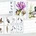 Pond Life Unit Study: Animals, Plants, Ecosystem (instant Download) - Etsy