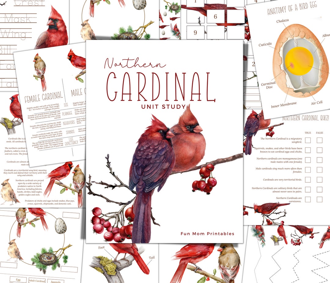Northern Cardinal Unit Study: Homeschool Science Printable (instant ...