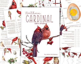 15 Birds Unit Study - Etsy Canada