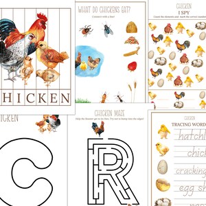 Chicken Unit Study , Life Cycle, Anatomy, DIGITAL DOWNLOAD - Etsy Australia