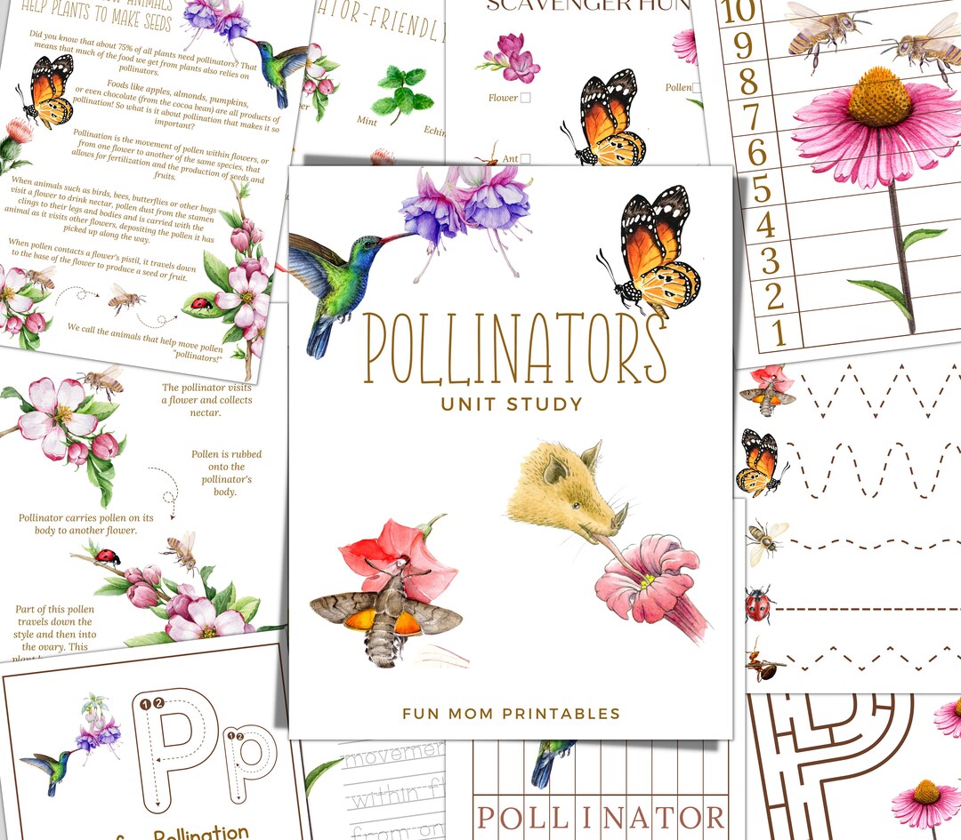 POLLINATORS Unit Study, Nature Study, Science, Handwriting, Homeschool ...