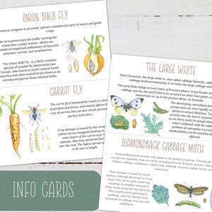 Garden Pests Unit Study: Homeschool Science (instant Download) - Etsy