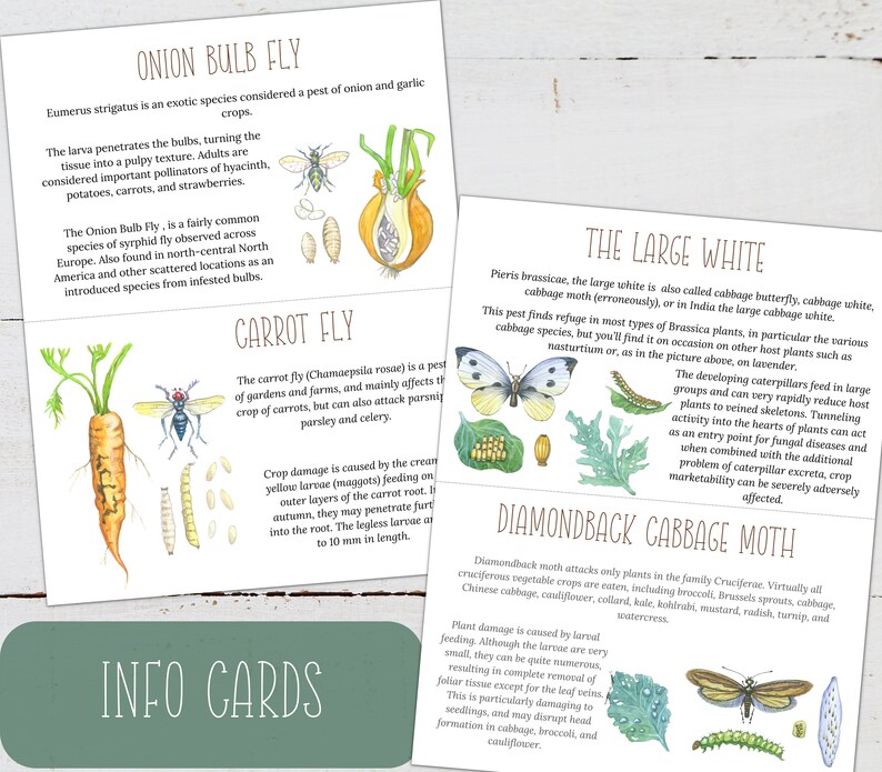 Garden Pests Unit Study: Homeschool Science (instant Download) - Etsy