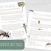 Mosquito Unit Study: Life Cycle, Anatomy, Homeschool Printable (INSTANT ...