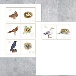 BIRDS and Their NESTS Flashcards and Matching Activity, Instant ...