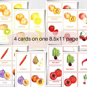 Fruits and Vegetables 3 Part Flashcards. Watercolor Cards for - Etsy