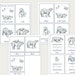 Polar Bear Unit Study: Life Cycle, Anatomy, Homeschool Printable ...