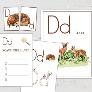 Letter D is for Deer: Alphabet Learning Activities (printable Digital ...