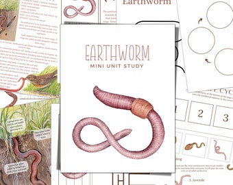 TOMATO Unit Study, Life Cycle, Anatomy, Nature Study, Science ...