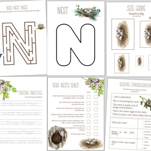 BIRD NESTS Unit Study, Nature Study, Science, Handwriting, Homeschool ...