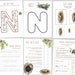 BIRD NESTS Unit Study, Nature Study, Science, Handwriting, Homeschool ...