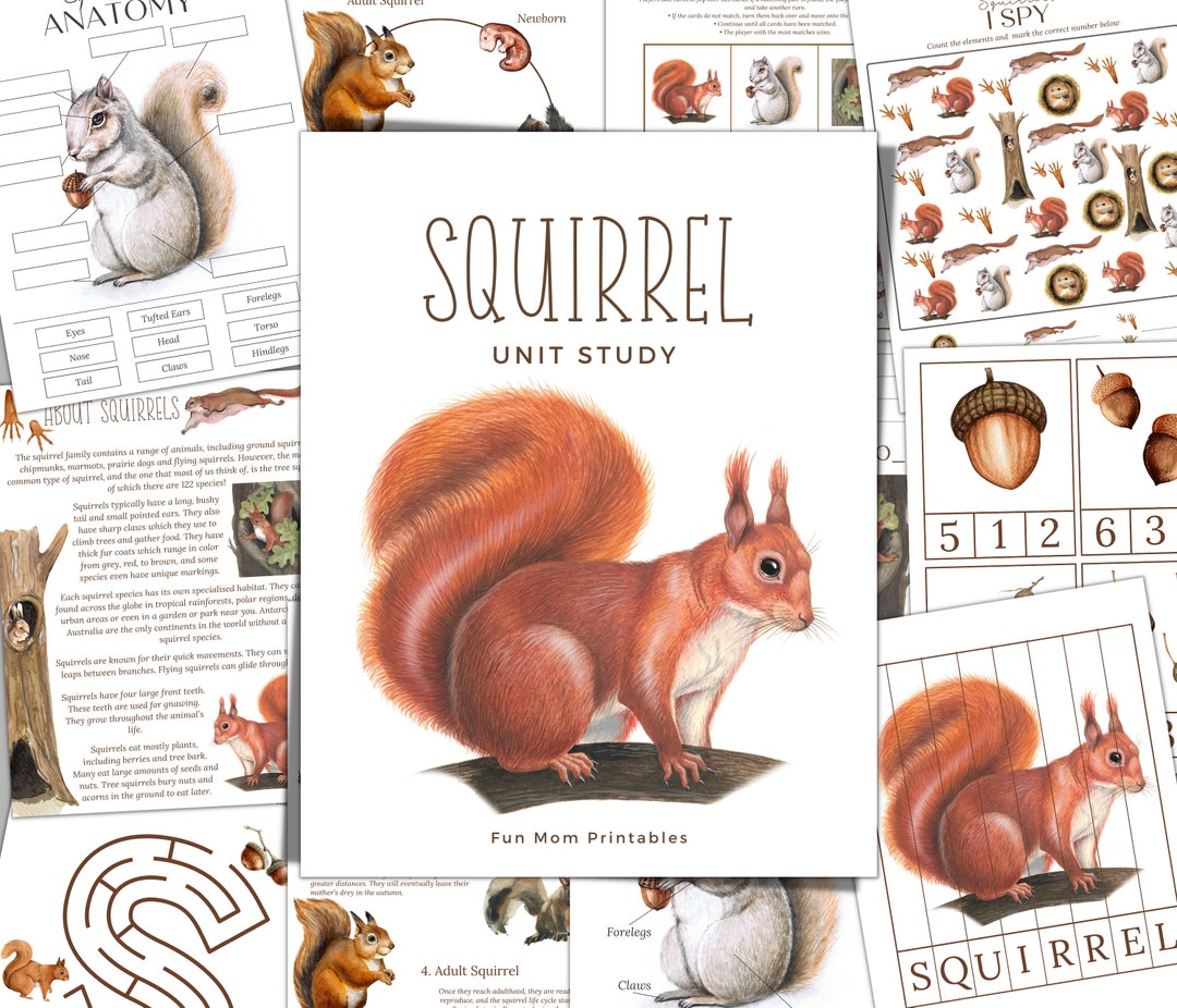Squirrel Unit Study: Anatomy, Life Cycle, Homeschool Printable (instant ...