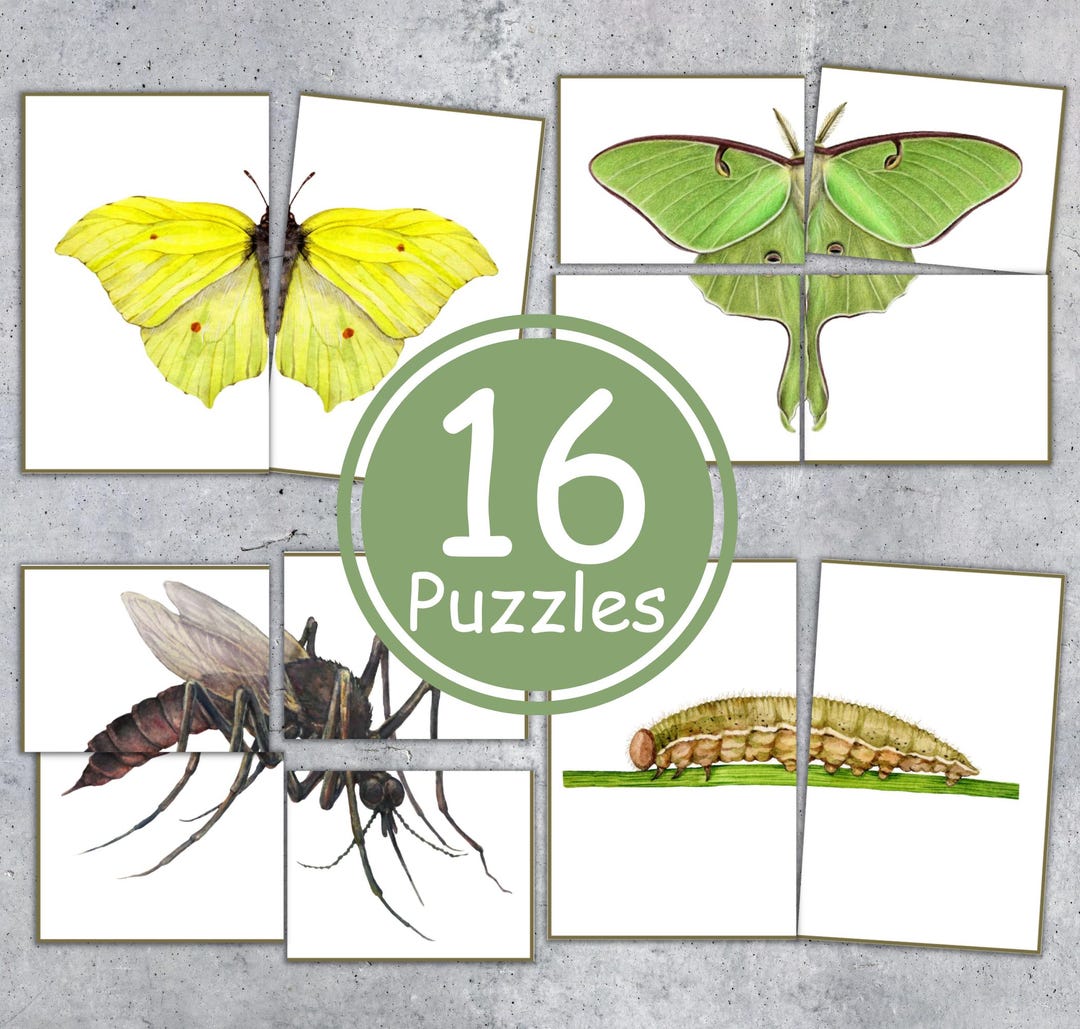 MINIBEASTS Matching Cards, Symmetry Puzzle, Toddler Preschool Activity ...