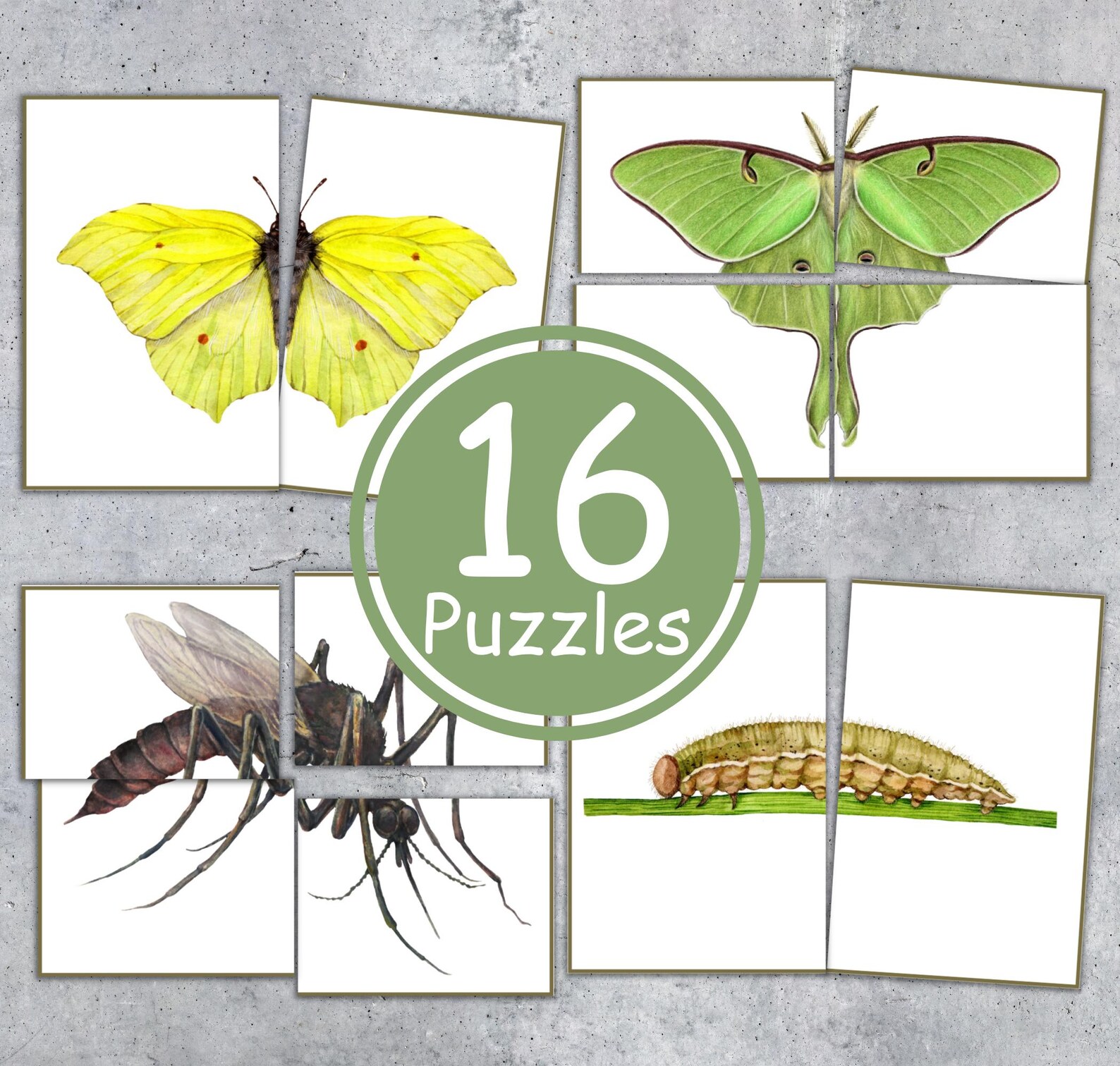 MINIBEASTS Matching Cards, Symmetry Puzzle, Toddler Preschool Activity, Instant Download - Etsy