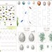 Egg Unit Study: Oviparous Animals, Life Cycle (homeschool Printable) - Etsy
