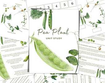 ANT, Unit Study, Life Cycle, Anatomy, Nature Study, Science, Homeschool ...