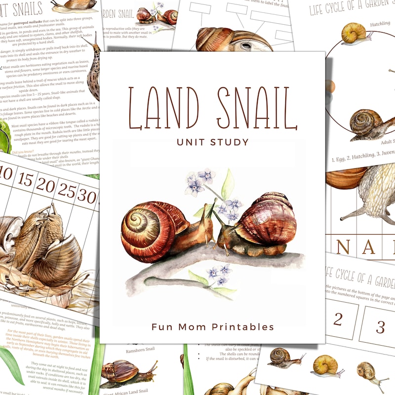 Snail Card - Etsy