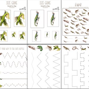 LIZARD Unit Study, Anatomy, Nature Study, Science, Handwriting ...