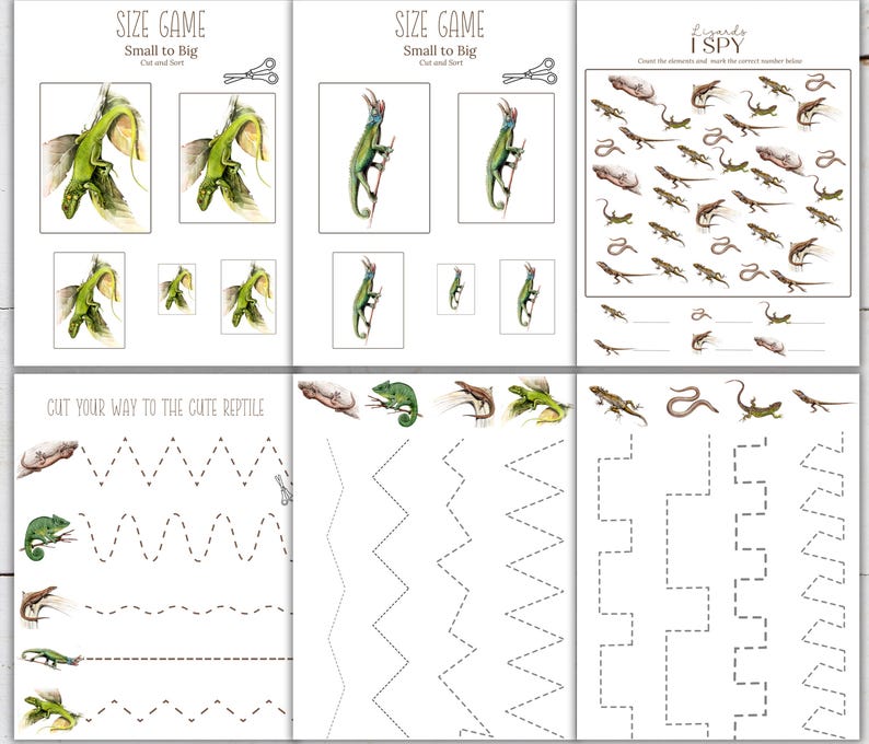LIZARD Unit Study, Anatomy, Nature Study, Science, Handwriting ...