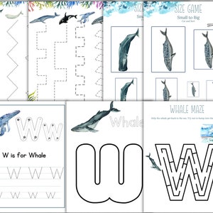 WHALES Unit Study, Life Cycle, Anatomy, Nature Study, Science ...