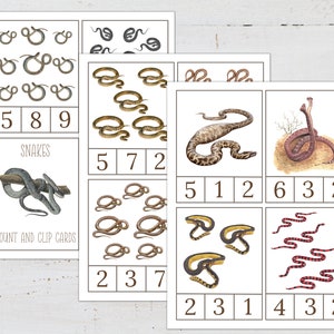 Snakes Unit Study: Anatomy, Life Cycle, Homeschool Printable (instant ...