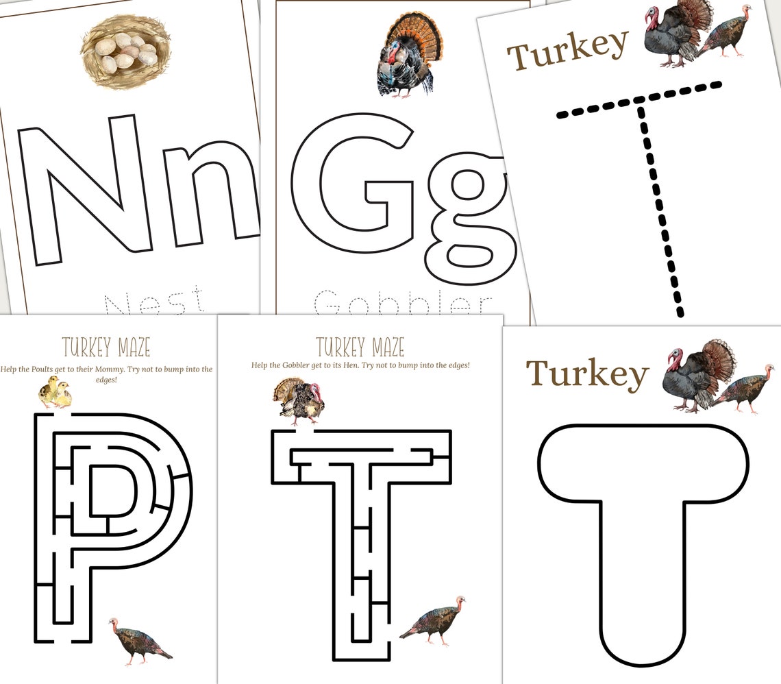 TURKEY Unit Study Life Cycle Anatomy Montessori 3 Part - Etsy