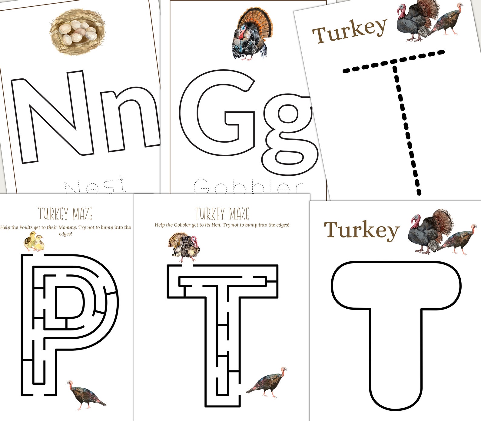 TURKEY Unit Study Life Cycle Anatomy Montessori 3 Part - Etsy