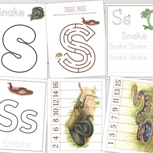 Snakes Unit Study: Anatomy, Life Cycle, Homeschool Printable (instant ...