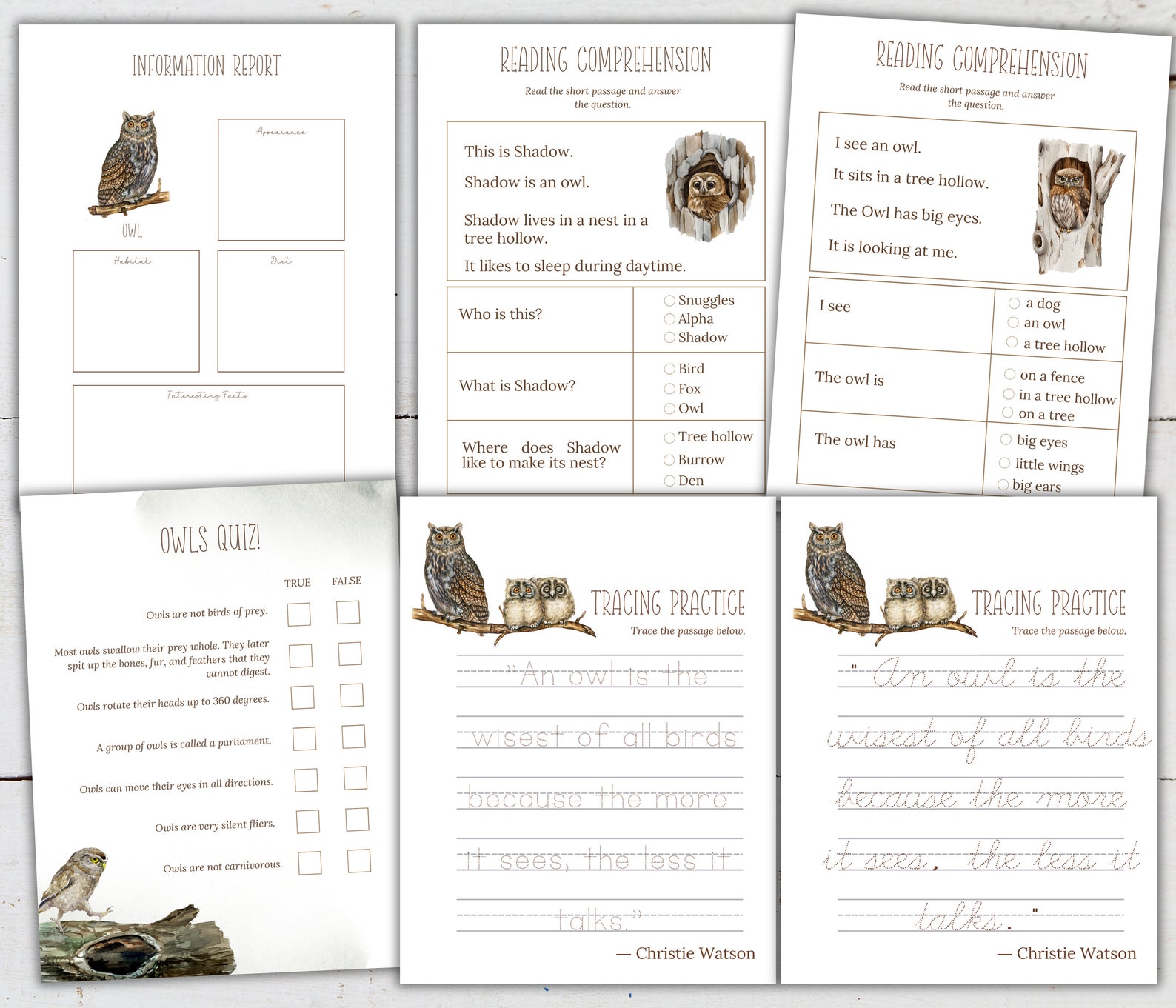 Owls Unit Study: Life Cycle, Anatomy, Homeschool Printable (INSTANT ...
