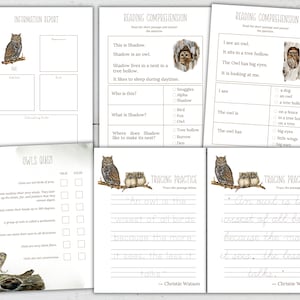Owls Unit Study: Life Cycle, Anatomy, Homeschool Printable (INSTANT ...