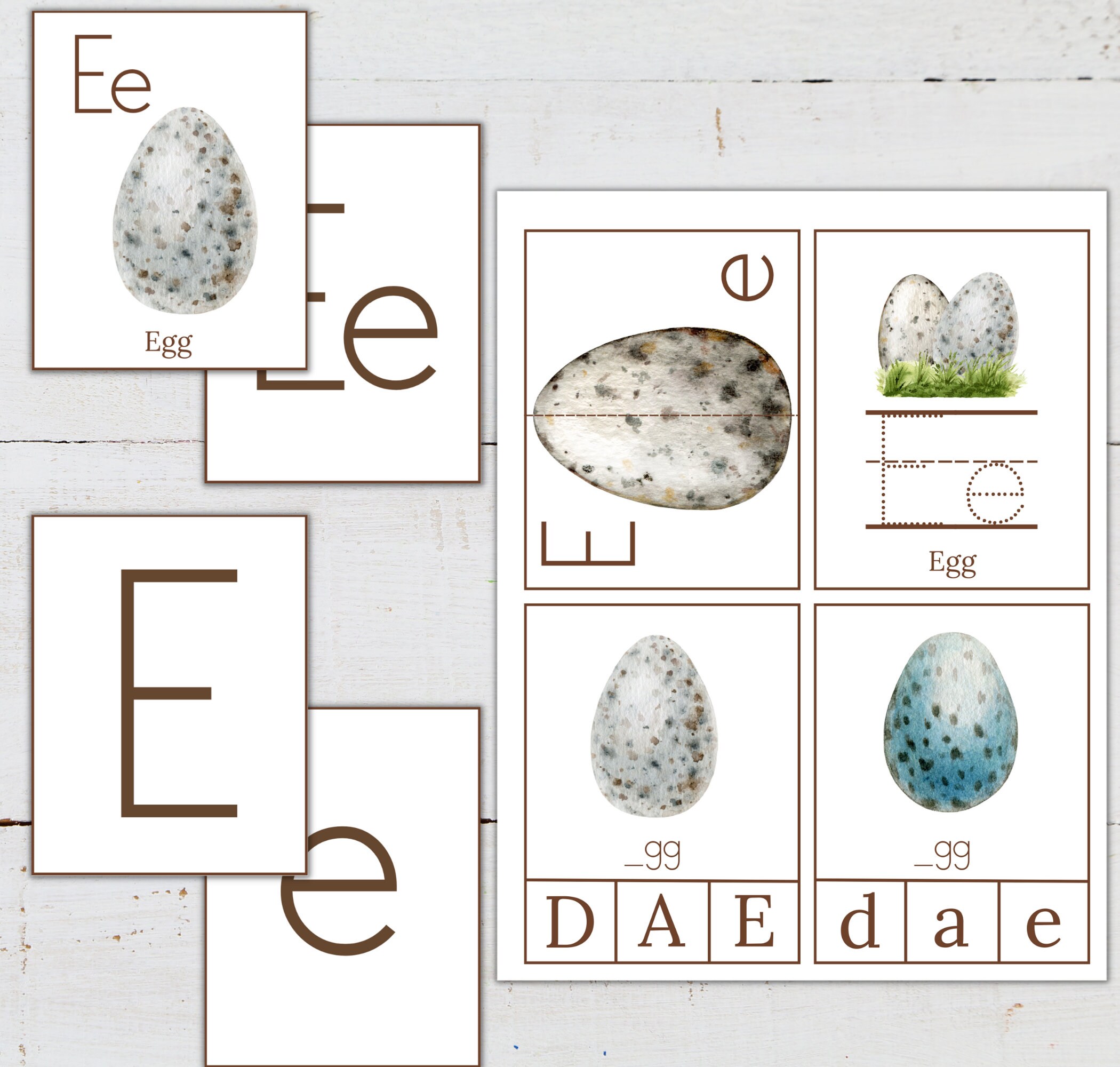 Letter E Activities: Egg Theme, Alphabet Learning (printable Digital ...