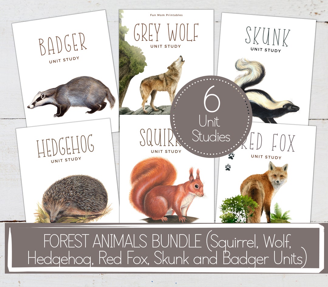 FOREST ANIMALS BUNDLE, Red Fox Unit, Squirrel Unit, Hedgehog Unit, Wolf ...