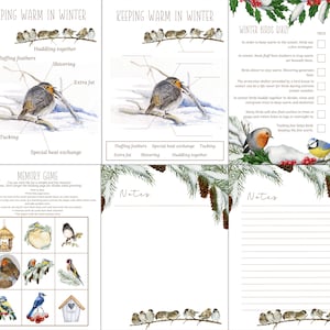 WINTER BIRDS Unit Study, Nature Study, Science, Handwriting, Homeschool ...