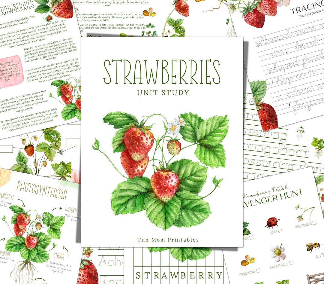 STRAWBERRIES Unit Study, Life Cycle, Anatomy, Nature Study, Science ...
