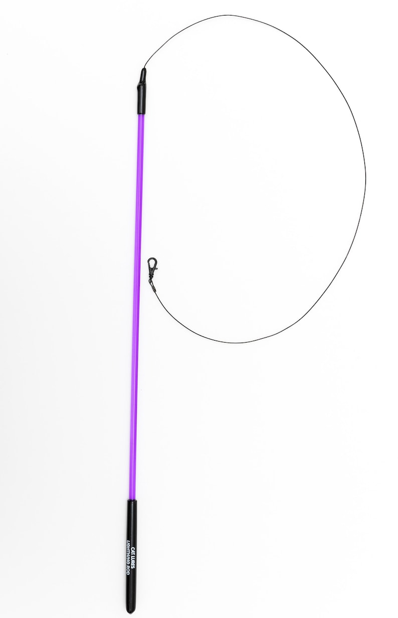 Cat Lures Lightning Rod! - Etsy